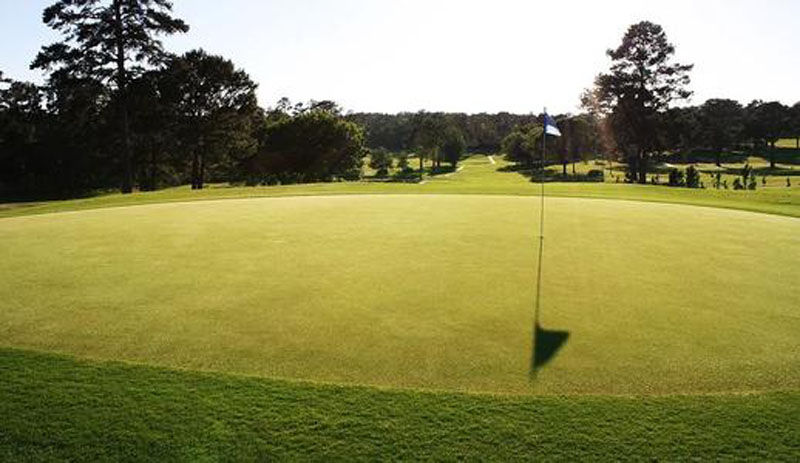 Gallery - Lumberjack National
