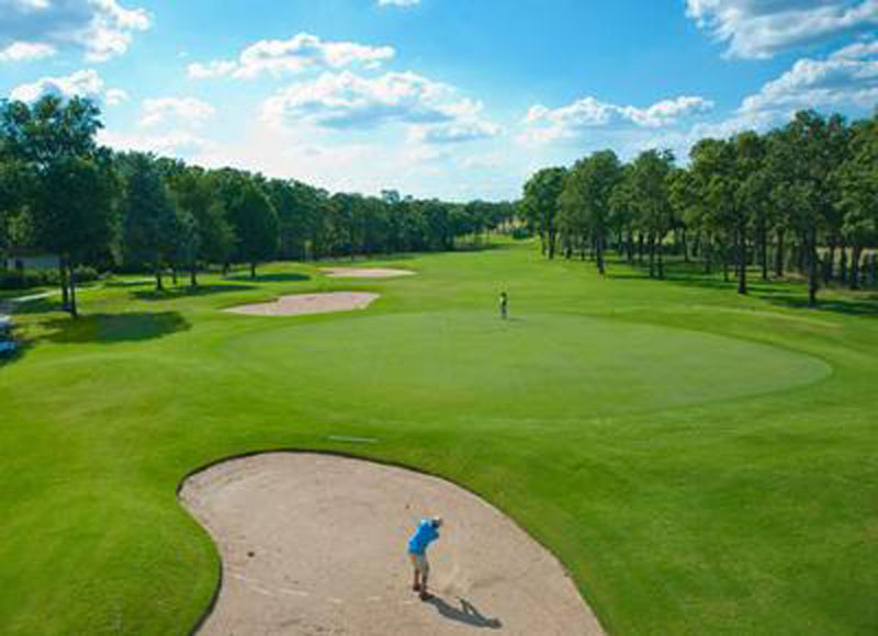 Gallery - Lumberjack National